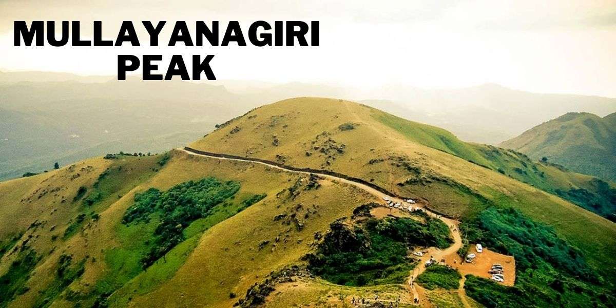 Visit Places in Chikmagalur: Top 10 Attractions to Explore