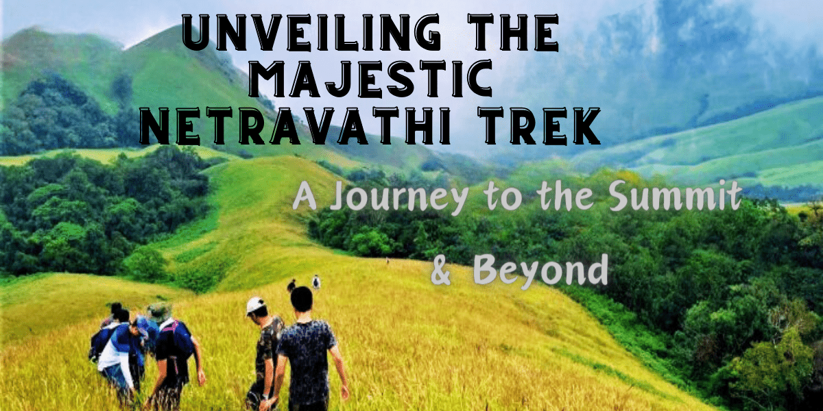 Netravathi Trek: An Unforgettable Adventure in Chikmagalur, Karnataka