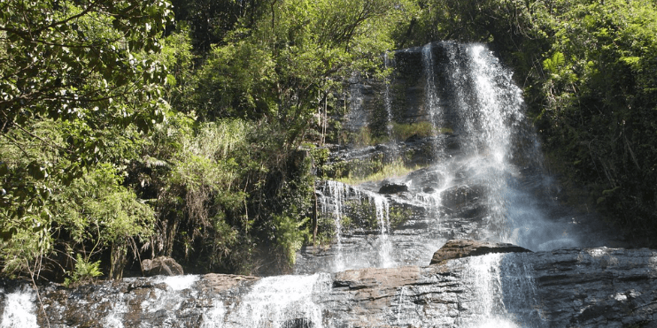 Jhari Falls: A Must-Visit Waterfall in Chikmagalur