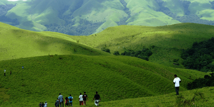 Best Resort and Homestays in Kalasa, Chikmagalur - Bynekaadu