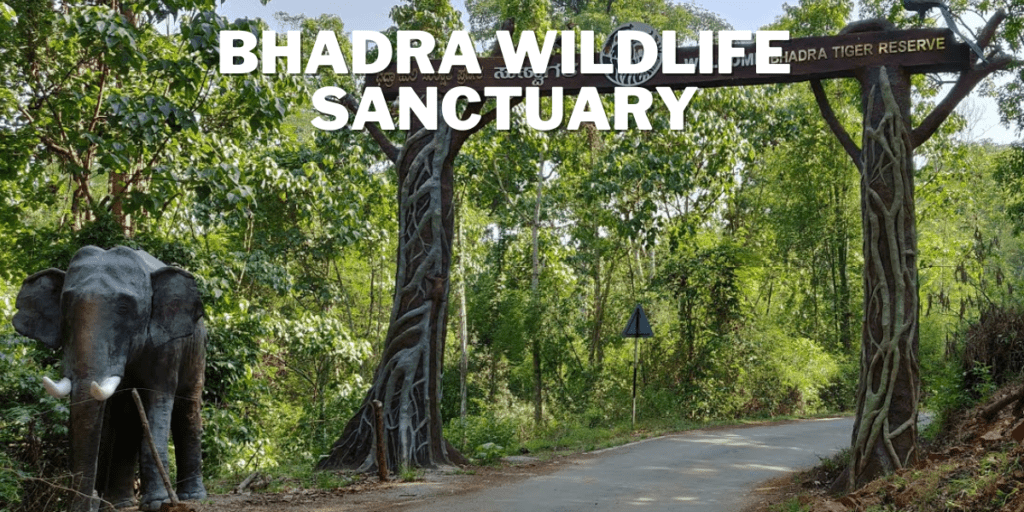Bhadra Wildlife Sanctuary Adventure in Chikmagalur