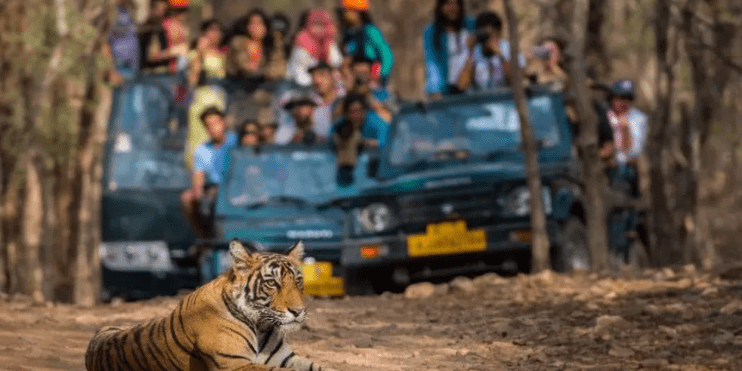 Bhadra Wildlife Sanctuary Adventure in Chikmagalur