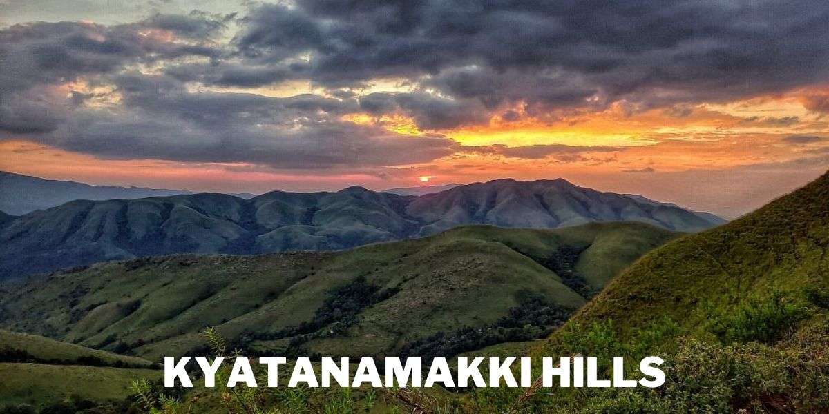 Exploring the Serenity of Kyatanamakki Hills!
