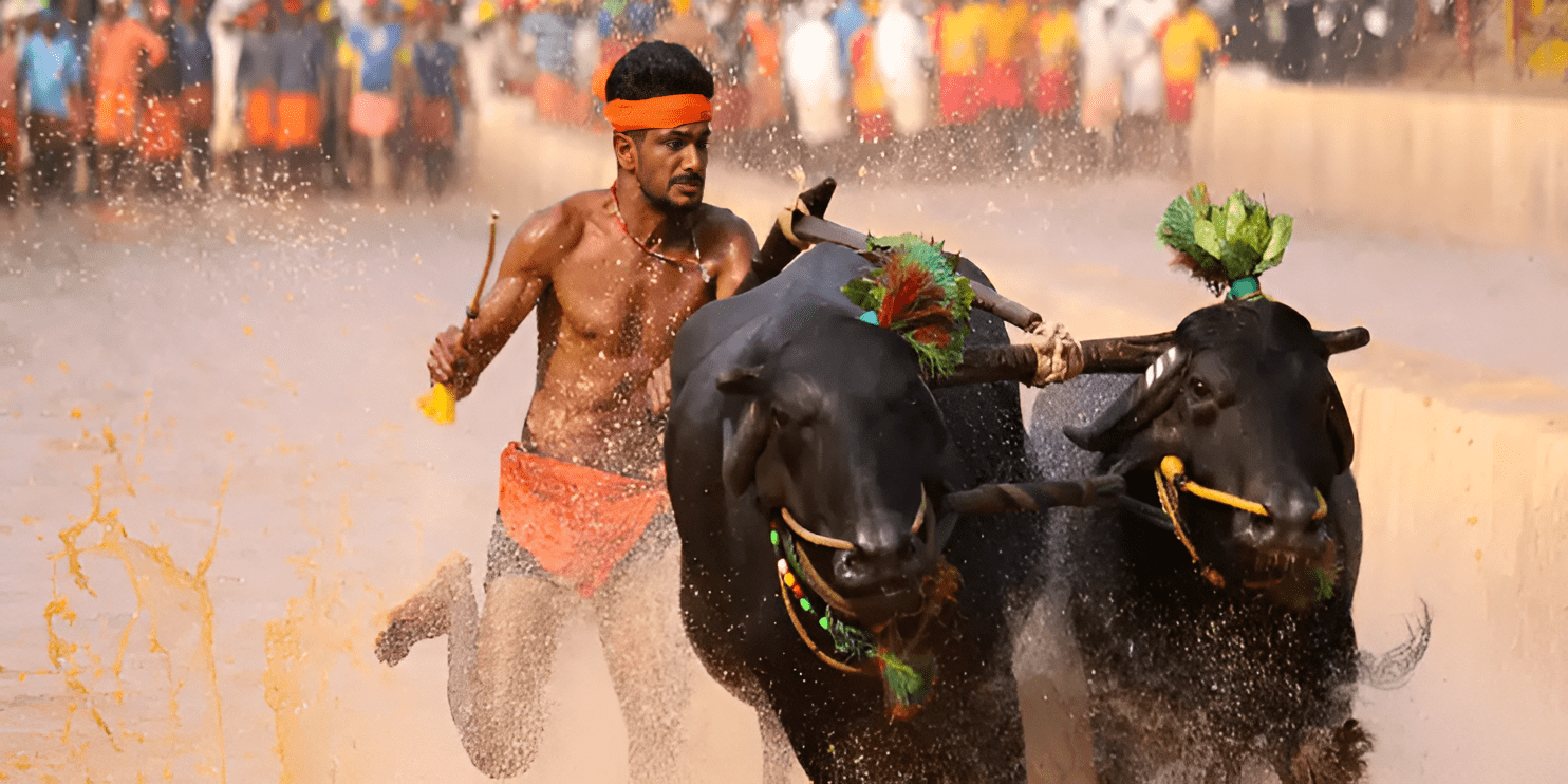 Explore Chikmagalur Festivals: A Guide to Cultural Attractions