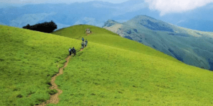 Top 20 Places to Visit in Kalasa Before Winter