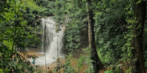 Top 20 Places to Visit in Kalasa Before Winter
