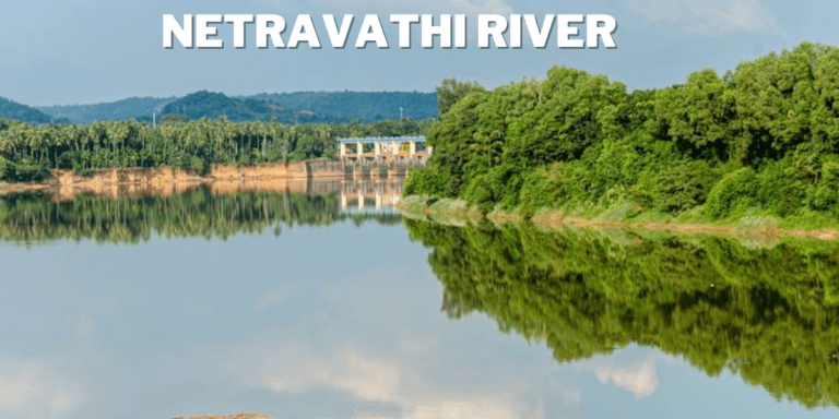 Top Reasons to Stay Near Netravathi River in Kalasa, chikmagalur