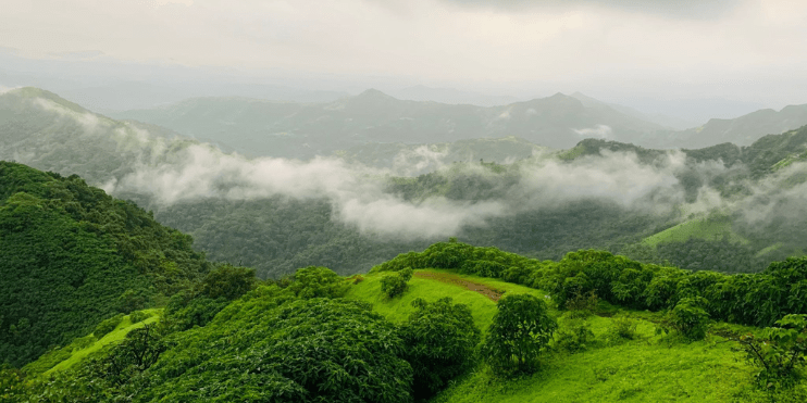 Kavikal Gandi Viewpoint: A Scenic Retreat in Chikmagalur
