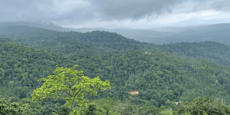 Hidden Spots in Madugundi, chikmagalur You Can't Afford to Miss