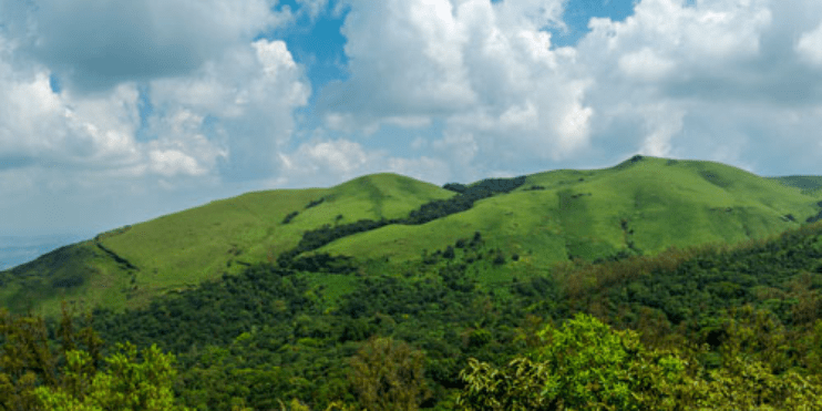 Kavikal Gandi Viewpoint: A Scenic Retreat in Chikmagalur