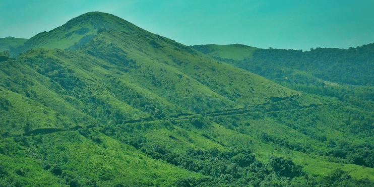 Kavikal Gandi Viewpoint: A Scenic Retreat in Chikmagalur